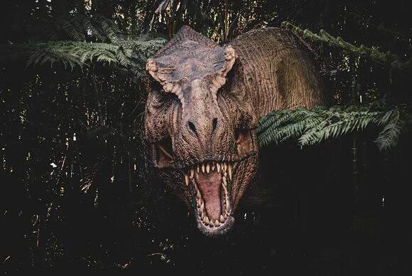 Which 3 Prehistoric Apex Predators Ruled the North American Continent ...