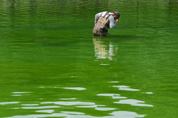 "MAGA" Has A New Meaning After Trump's Reflecting Pool Mishap, And It’s ...