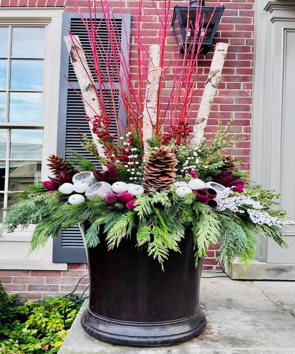 Stop Replacing Cracked Pots Every Spring – Expert Tips for the 5 Best ...