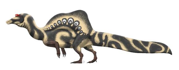 7 Dinosaurs That Could Defeat a T.Rex - NewsBreak