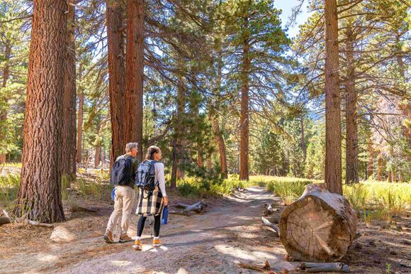 Palm Springs Aerial Tramway Announces Summer Schedule and Memorial Day ...