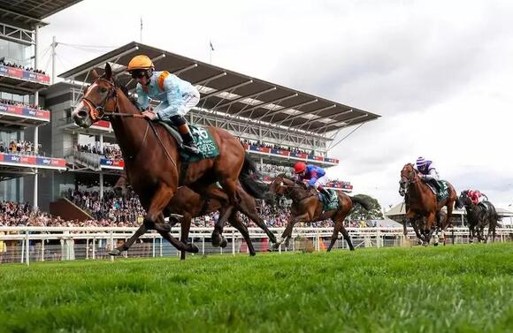 Breeder's Cup Winner Gets Kentucky Association to Overturn Horse ...