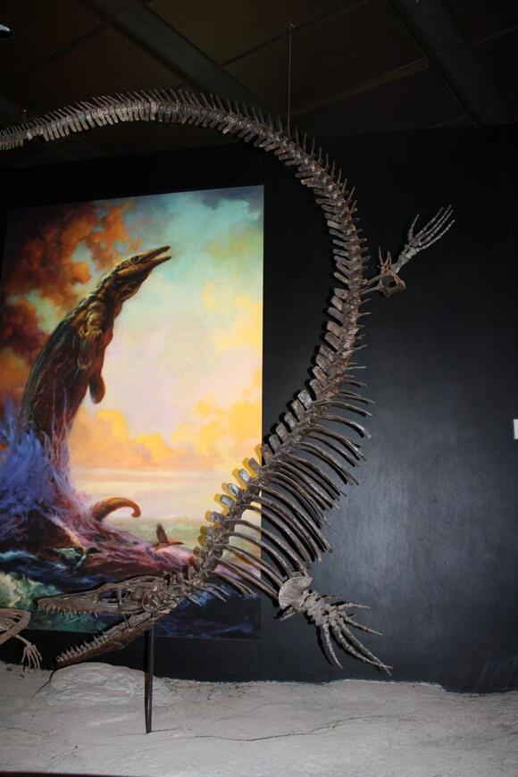 Plesiosaurs and Mosasaurs: Rivals Beneath the Waves - NewsBreak
