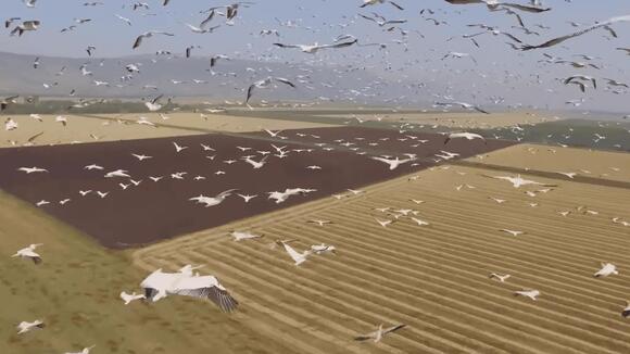 How Soil Erosion Is Destroying Farmland Can We Find Solutions to ...