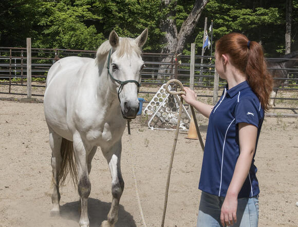 Why Do Some People Attract Wild Animals More Than Others? Biologists ...