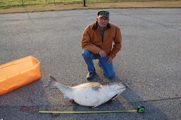 Record Breaking Fish That Were All Caught in Alabama! - NewsBreak