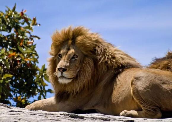 Strange Acadiana Laws You Probably Haven't Heard of - NewsBreak