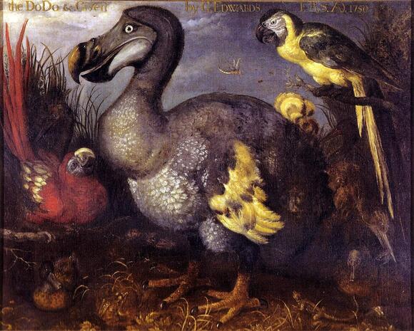 Can We Bring Back the Dodo—And Should We? - NewsBreak