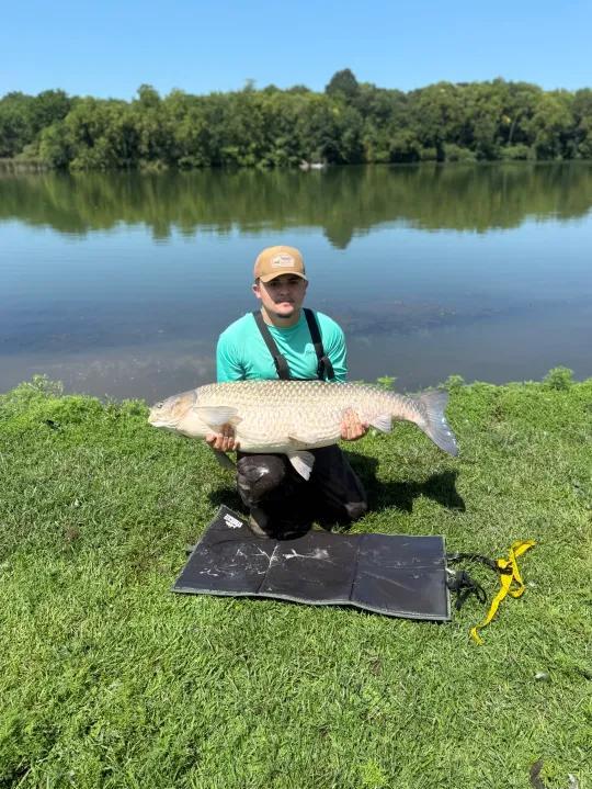 Photos: World record grass carp caught in Sioux City - NewsBreak