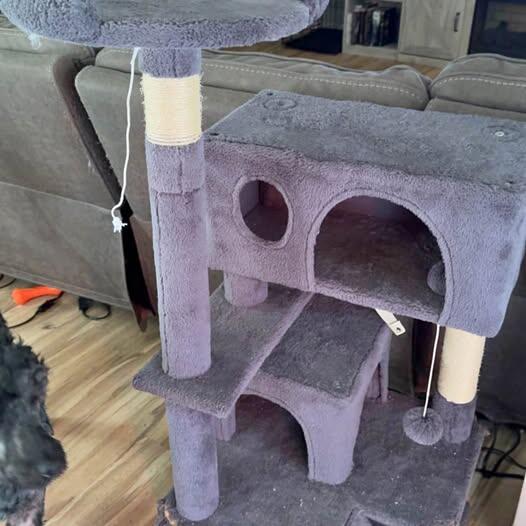 🎁 Freebies Up for Grabs in Lincolnton Right Now - NewsBreak