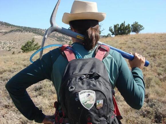 9 Ways to Develop the Observational Skills of a Paleontologist - NewsBreak