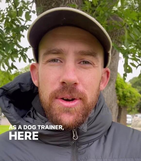 I’m a dog trainer – here are my five favourite pooches… and just why ...