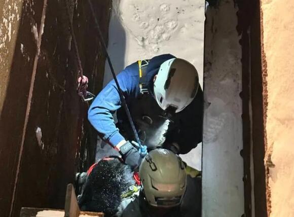 Missing dog in Beaver County rescued after surviving days in frigid ...