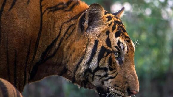 Bradley Cooper: “Will Arnett Saved My Life” - NewsBreak