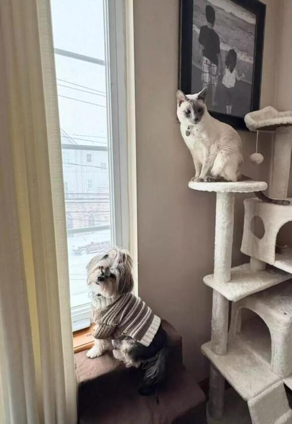 New Jersey's January Snowstorm: Community Photos And Impact - NewsBreak