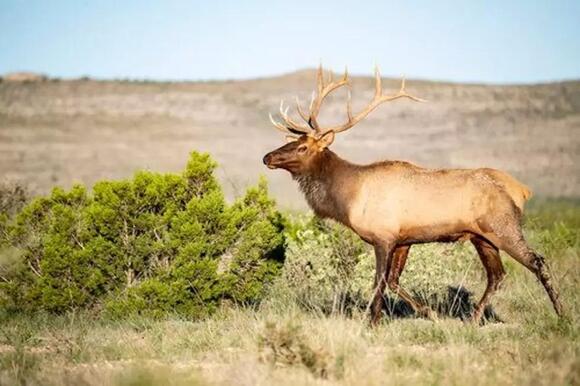 Texas is Now 95% Privately Owned: Who Owns The Most? - NewsBreak