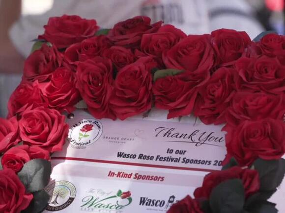 Wasco Rose Festival returns with expanded offerings, rose field tours ...