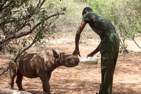 What Animals Know About Empathy That We Still Don’t Understand - NewsBreak