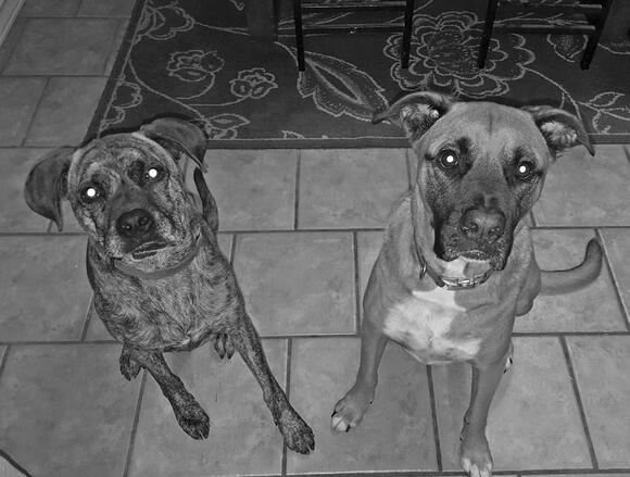 Aransas Pass Veteran Comes Home After Hurricane to Stay - NewsBreak