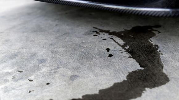 12 Clever Ways to Recycle Wood Ash Instead of Throwing It Away - NewsBreak