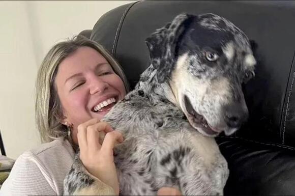 Woman shares horrific injuries after beloved dog of 11 years bites nose ...