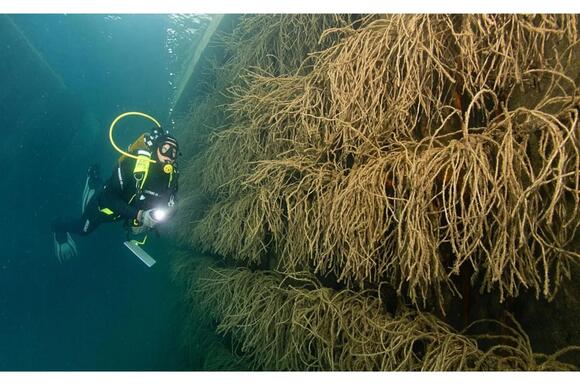 20 Ways the Ocean Is Helping in the Fight Against Climate Change ...