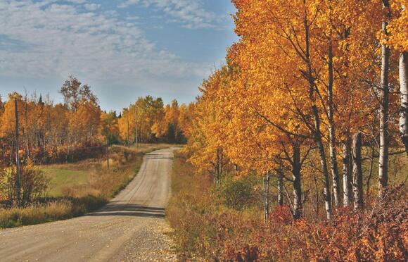 New Jersey’s Most Stunning Fall Foliage Spots - NewsBreak