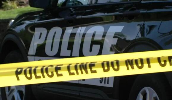 Man dies after falling out of hunting tree stand - NewsBreak