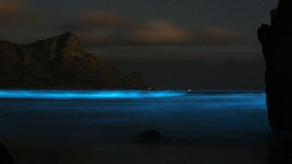 Where to Visit Glowworm Caves and Bioluminescent Creatures - NewsBreak