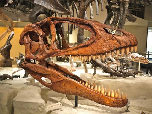 Why Are Some Dinosaurs Named After Mythology? The Stories Behind Iconic ...