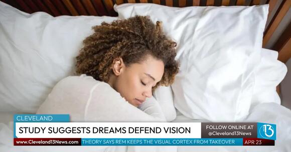 New Theory Suggests Dreams Are the Brain's Defense Against Going Blind ...