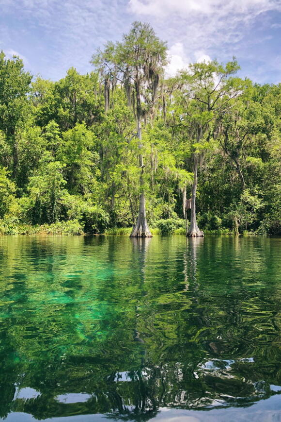 Day Trip: Rainbow River Tubing at KP Hole - NewsBreak
