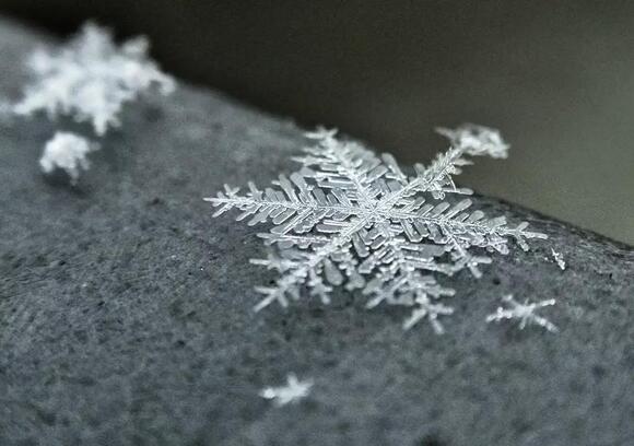 Ice Cream Bars Recalled in MT Over Allergen Risk - NewsBreak