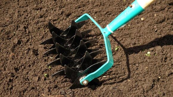 Millions of Gardeners Are Unknowingly Ruining Their Soil Every Spring ...