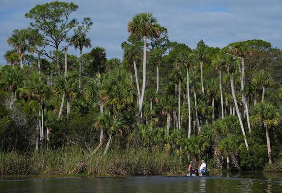 Flagler OKs effort to protect part of Bulow Creek from new development ...