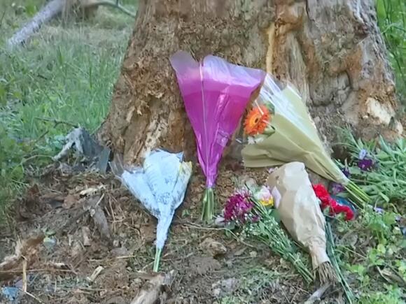 Man accused of pulling a gun on the family of Cockeysville crash ...