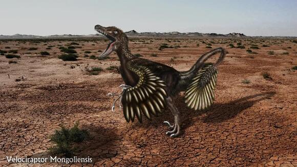 Raptor Revelations: 8 Ways Velociraptors Were Smarter Than You Think ...
