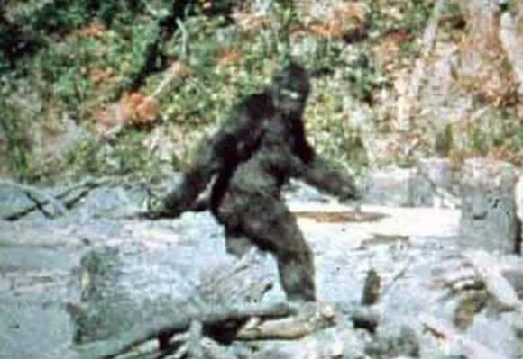 50 Urban Legends From All 50 States - NewsBreak