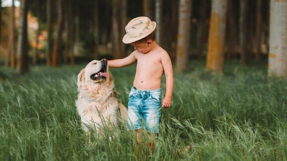 12 Dog Breeds That Are Surprisingly Good with Kids - NewsBreak