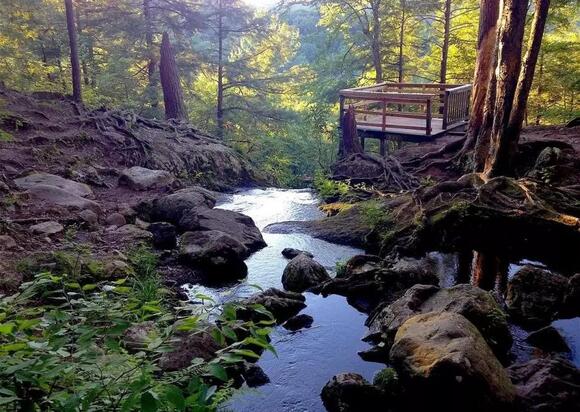 Illinois Warns Hunters After Spike in Tree Stand Accidents - NewsBreak