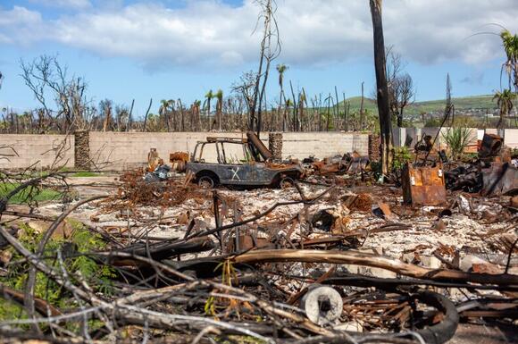 Maui community mobilizes to protect water quality from runoff after ...