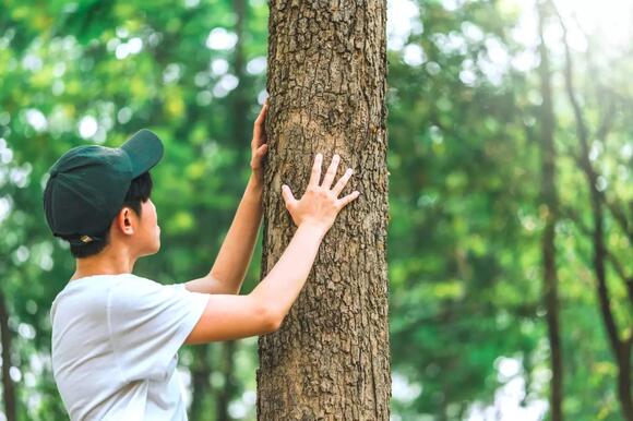 Bizarre viral saga: TikTok explodes over 'shifting' tree conspiracy in ...