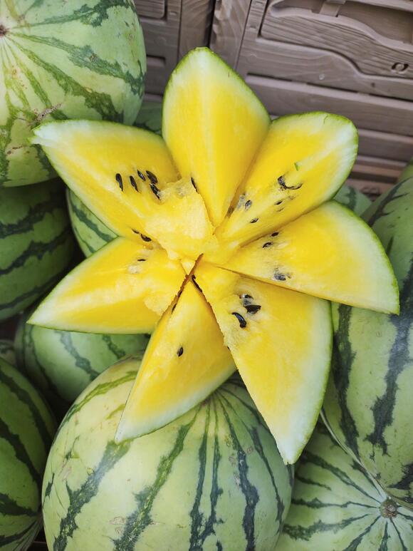 5 Things You May Not Know About Buying Watermelon in 2026 - NewsBreak