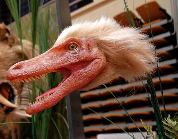 Raptor Revelations: 8 Ways Velociraptors Were Smarter Than You Think ...
