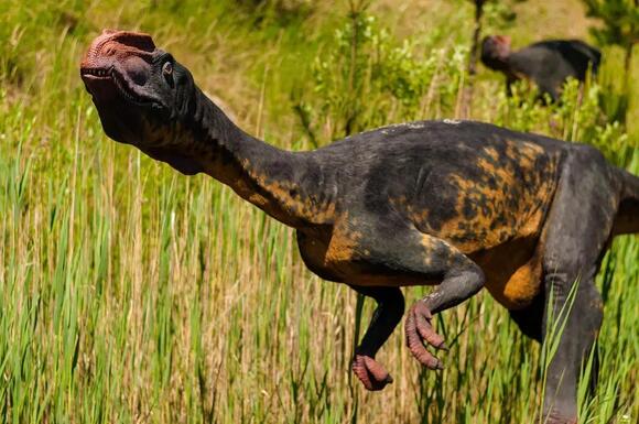 9 Common Dinosaur Myths That Modern Paleontology Has Finally Debunked ...