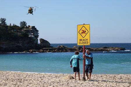 Woman seriously injured in shark attack at Sydney beach - NewsBreak