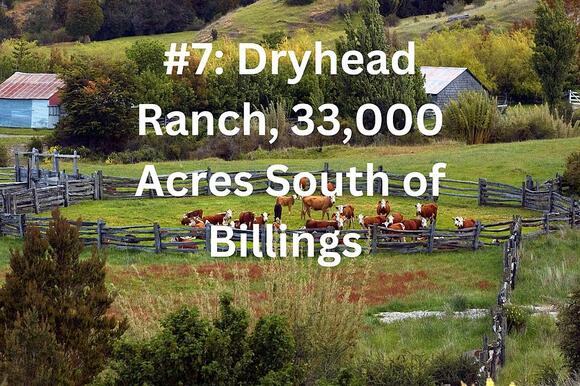 Bottom Line: Trump’s Beef Plan Not Popular In Montana - NewsBreak