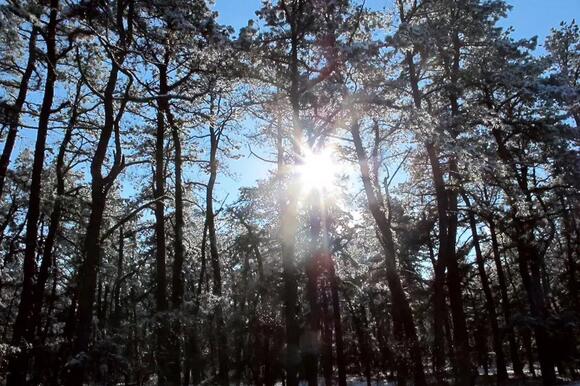 Dead whale found on ship at South Jersey port sparks fed probe - NewsBreak