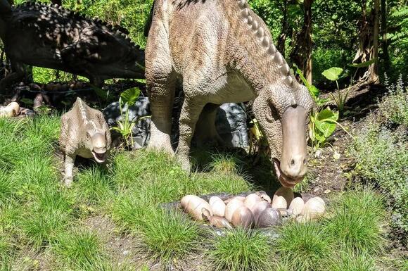 Paleontologists Just Uncovered Proof of Dinosaur Social Structures And ...