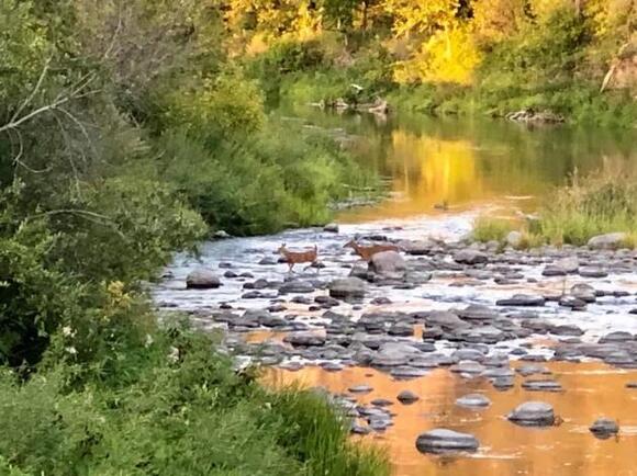 Unveiling The Largest Landowner In North Dakota - NewsBreak